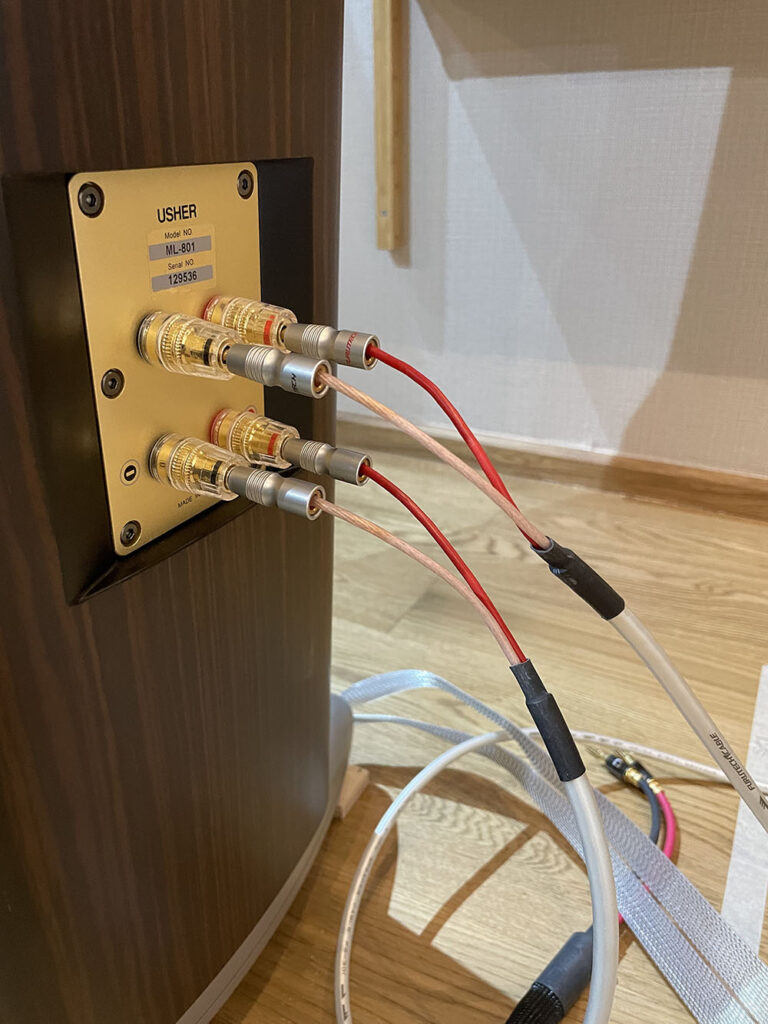 Bi-amp น่าเล่นมั้ย.? – All About Audio/Visual